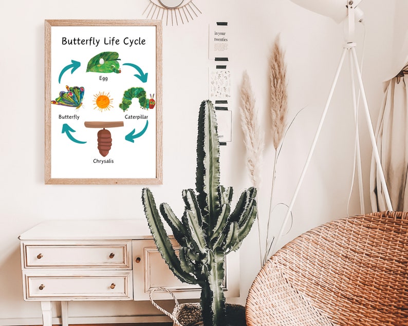 The Very Hungry Caterpillar Life Cycle Poster, Butterfly Lifecycle ...