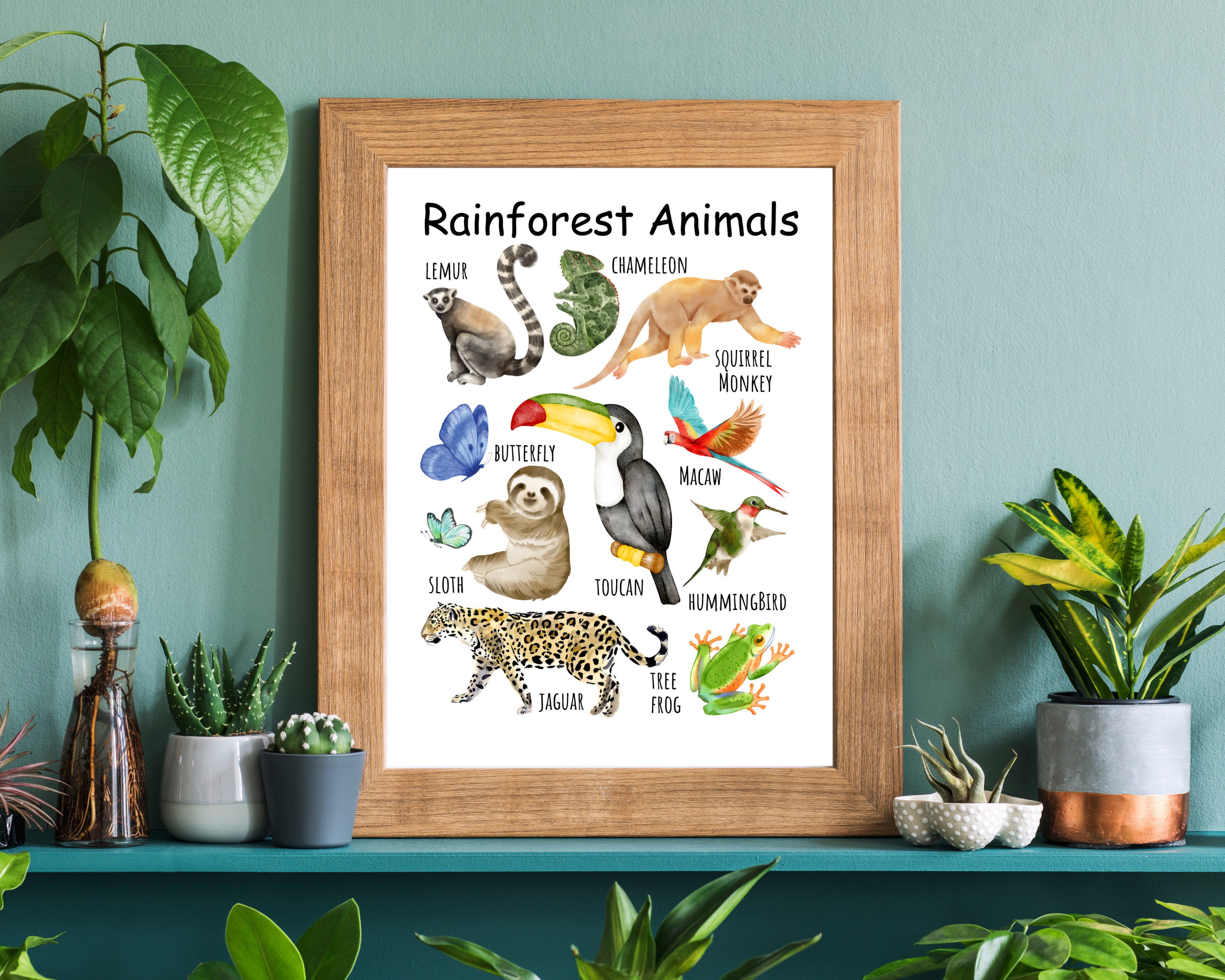 Animal Educational Posters, Printable Wall Art, Classroom Learning ...