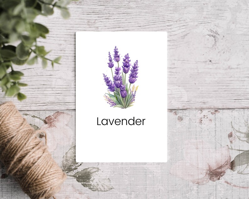 26 Flowers Flashcards, Montessori Flashcards, Montessori Pintables ...