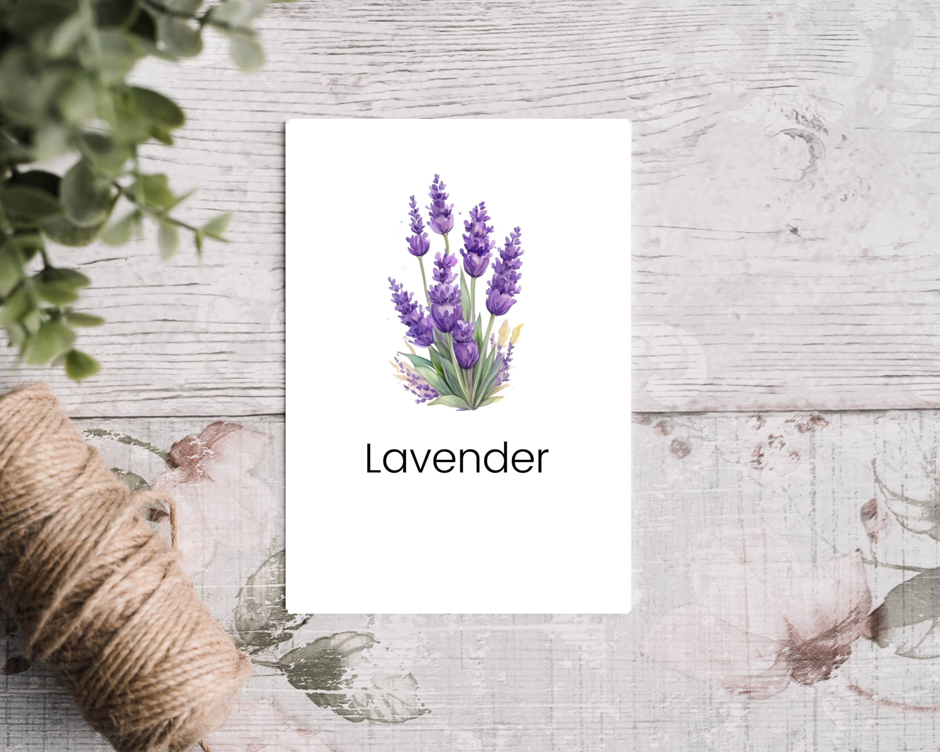 26 Flowers Flashcards, Montessori Flashcards, Montessori Pintables ...