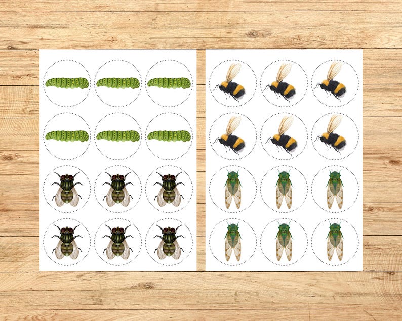 Insects Math Activities, Insects Bugs Games, Counting, Sorting, Adding ...