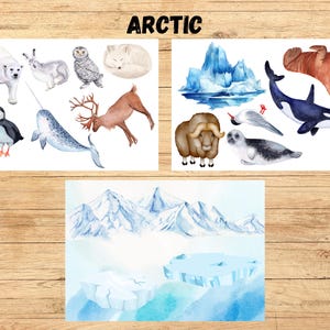 Animal Habitat Sorting Activity, Habitat Match, Animal Pretend Play ...