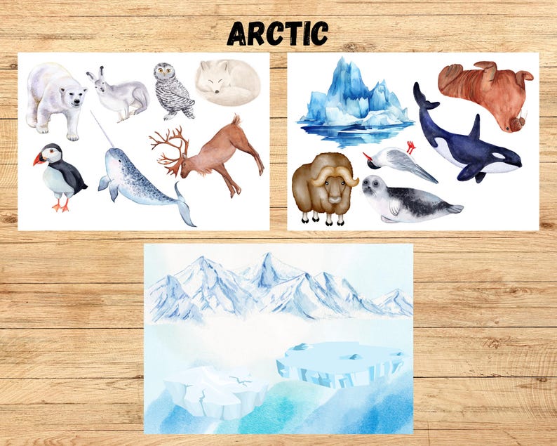 Animal Habitat Sorting Activity, Habitat Match, Animal Pretend Play ...