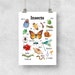 Nature Educational Posters, Printable Wall Art, Classroom Learning ...