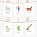 26 Farm Animals Flashcards, Farm Life, INSTANT DOWNLOAD, Nature Cards ...