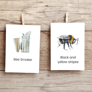 Bees Flashcards, Bee Educational Poster, Montessori, Homeschool ...
