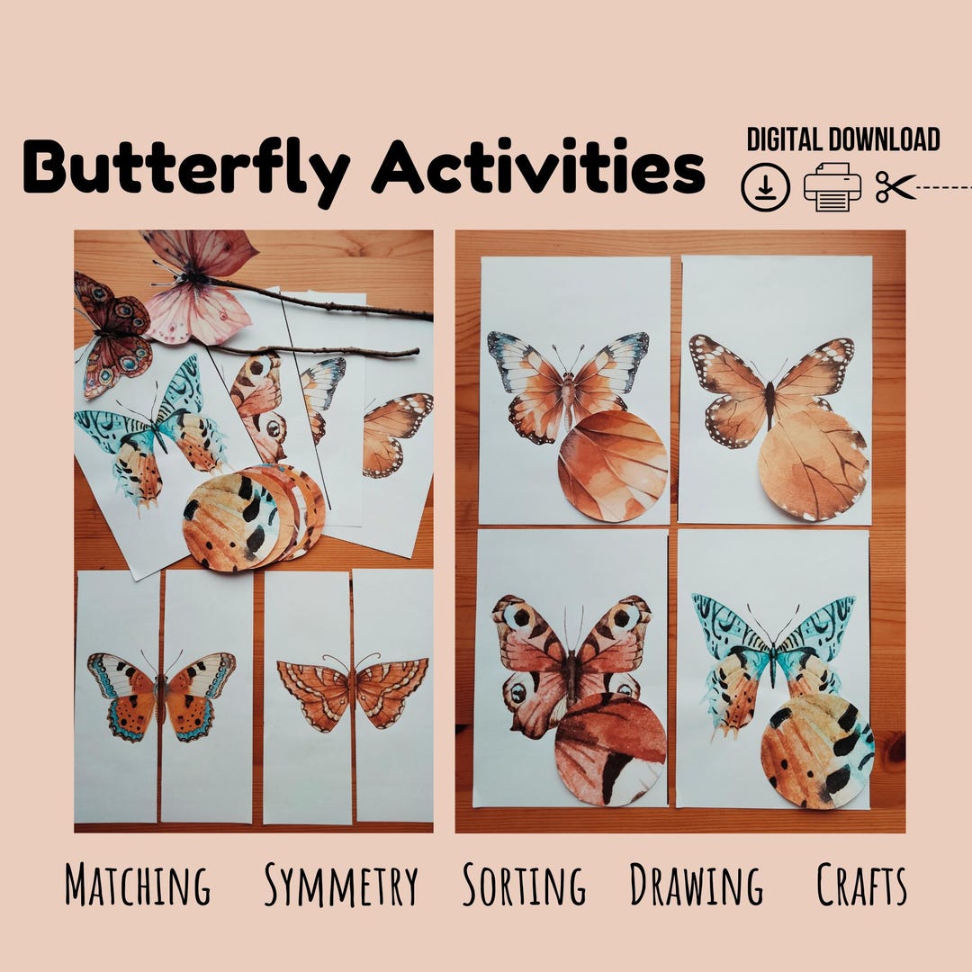 Butterfly Matching Game, Butterfly Flashcards, Butterfly Wands ...
