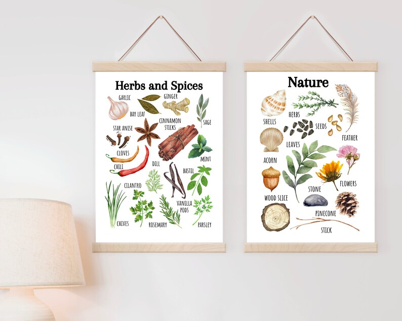 Nature Educational Posters, Printable Wall Art, Classroom Learning ...