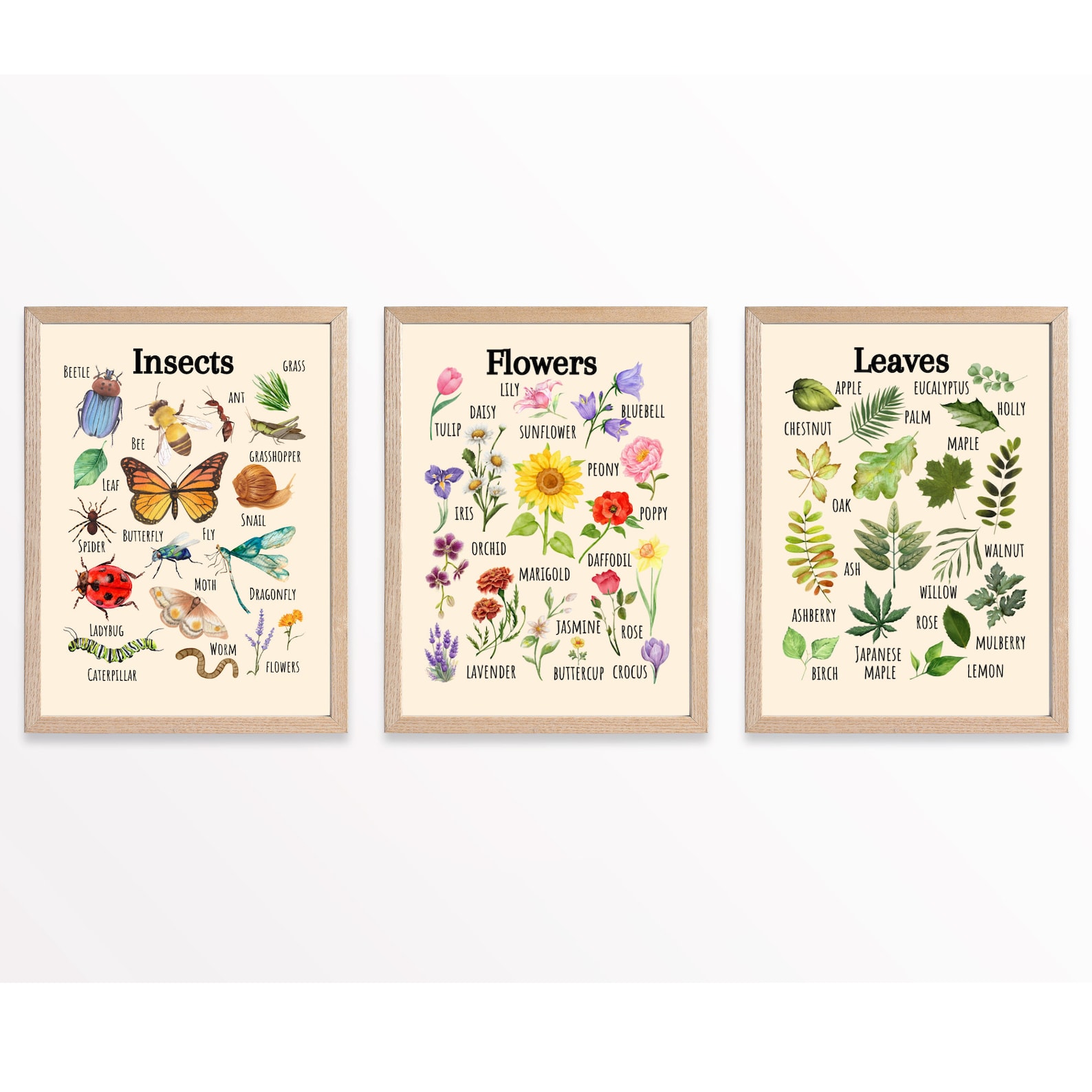 Nature Educational Posters, Printable Wall Art, Classroom Learning ...