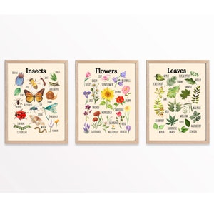 Nature Educational Posters, Printable Wall Art, Classroom Learning ...