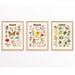 Nature Educational Posters, Printable Wall Art, Classroom Learning ...