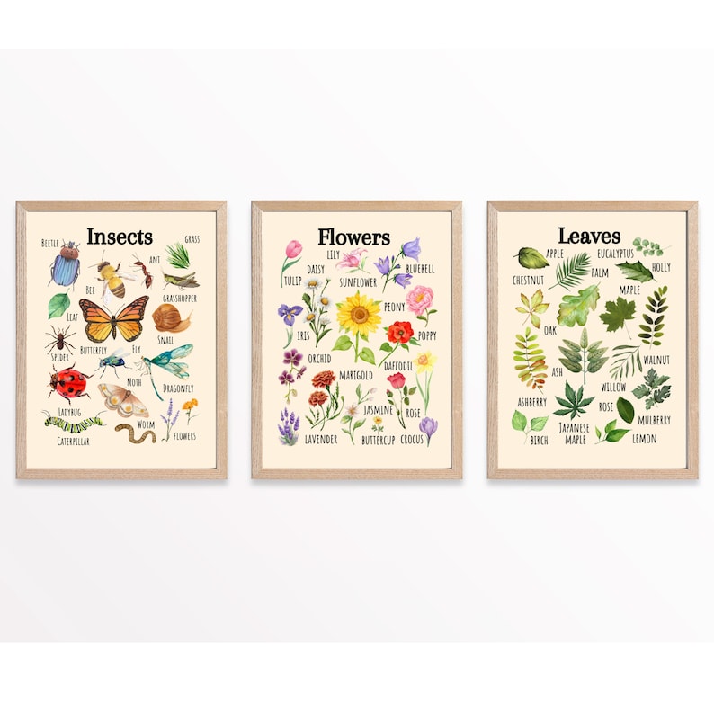 Nature Educational Posters, Printable Wall Art, Classroom Learning ...