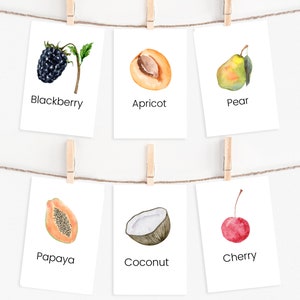 24 Fruit Flashcards, Montessori Flashcards, Food Cards, INSTANT ...