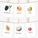 24 Fruit Flashcards, Montessori Flashcards, Food Cards, INSTANT ...