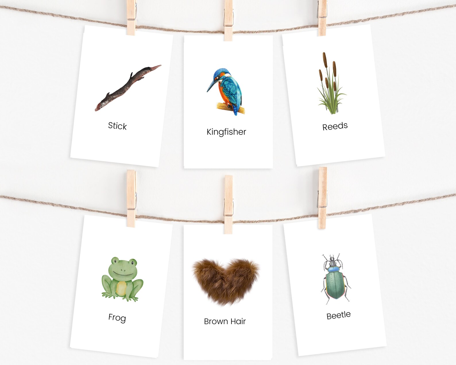 The Gruffalo Story Cards, Homeschool Printable (PDF) - Etsy