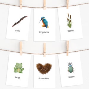 The Gruffalo Story Cards, 36 Gruffalo Flashcards, Homeschool Montessori ...