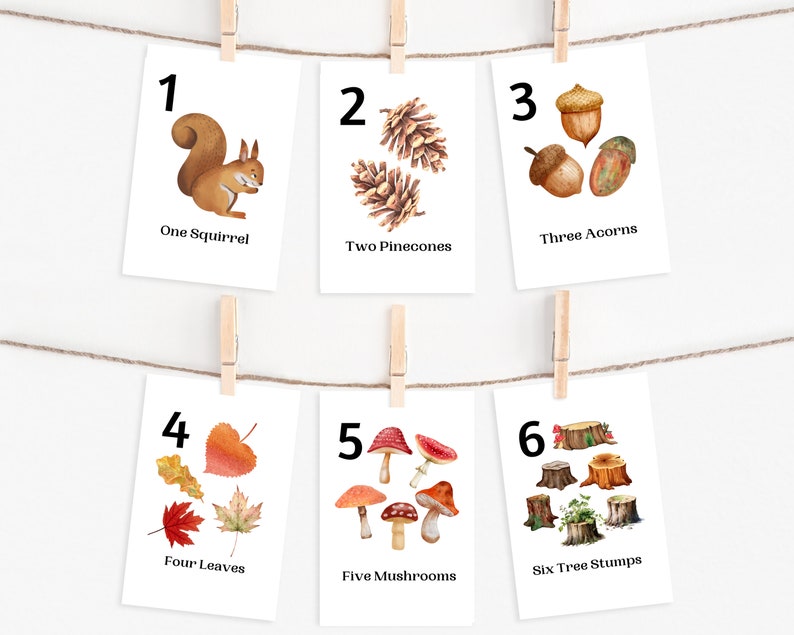 Autumn Number Flashcards 1-10 Printable, Nature Number Cards, Fall ...