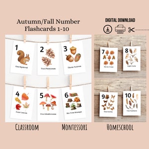 Autumn Number Flashcards 1-10 Printable, Nature Number Cards, Fall ...