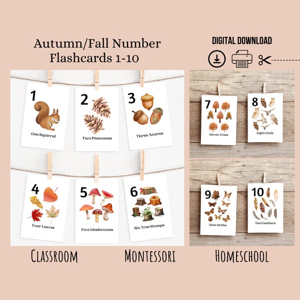 Number Cards - Etsy