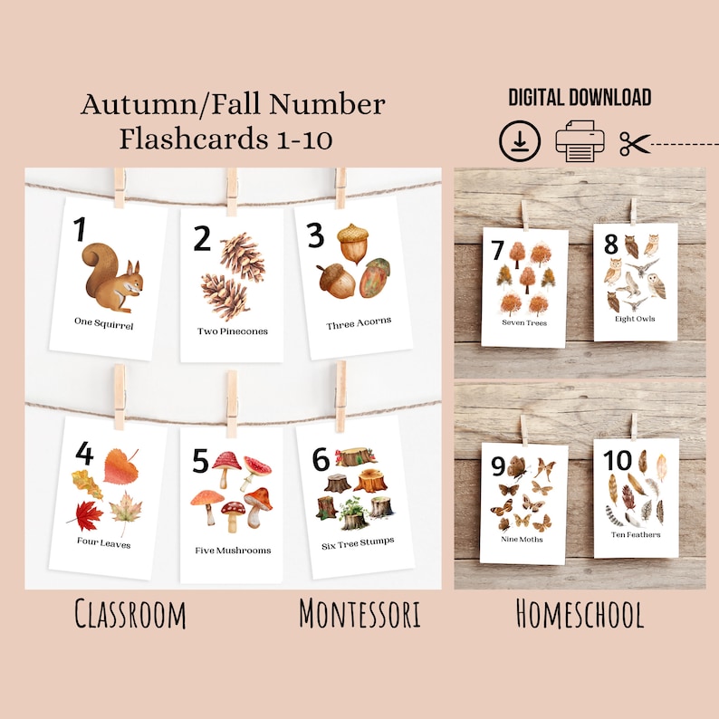 Autumn Number Flashcards 1-10 Printable, Nature Number Cards, Fall ...