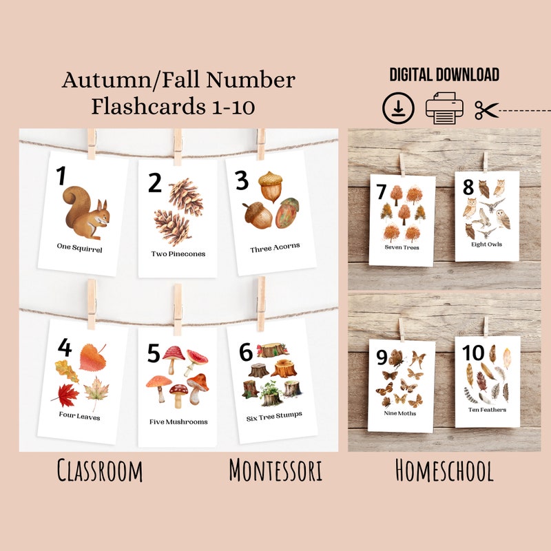 Number Cards - Etsy