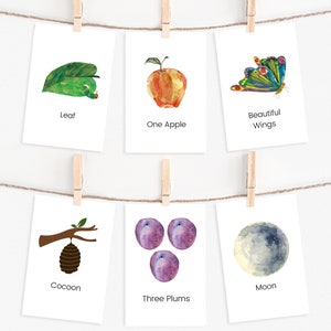 The Very Hungry Caterpillar Flashcards, Homeschool Montessori ...