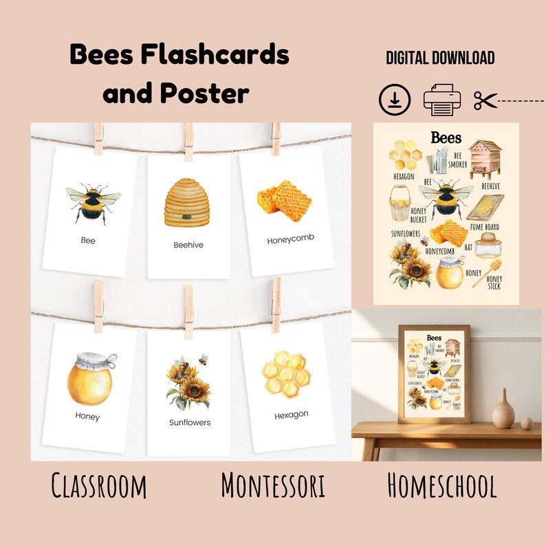 Bees Flashcards, Bee Educational Poster, Montessori, Homeschool ...