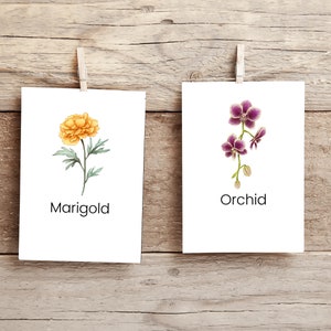 26 Flowers Flashcards, Montessori Flashcards, Montessori Pintables ...