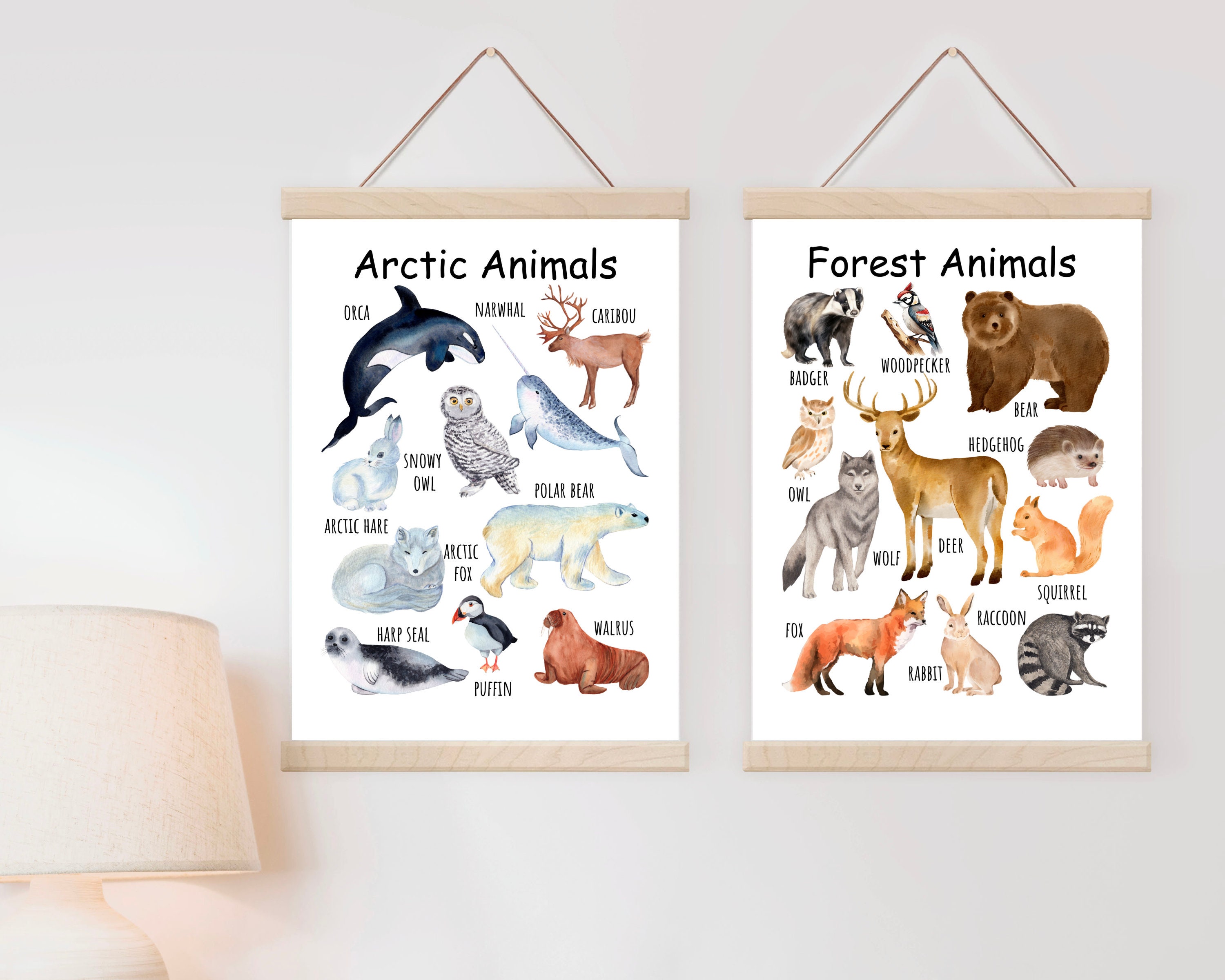 Animal Educational Posters, Printable Wall Art, Classroom Learning ...