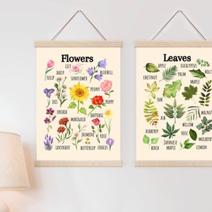 Nature Educational Posters, Printable Wall Art, Classroom Learning ...
