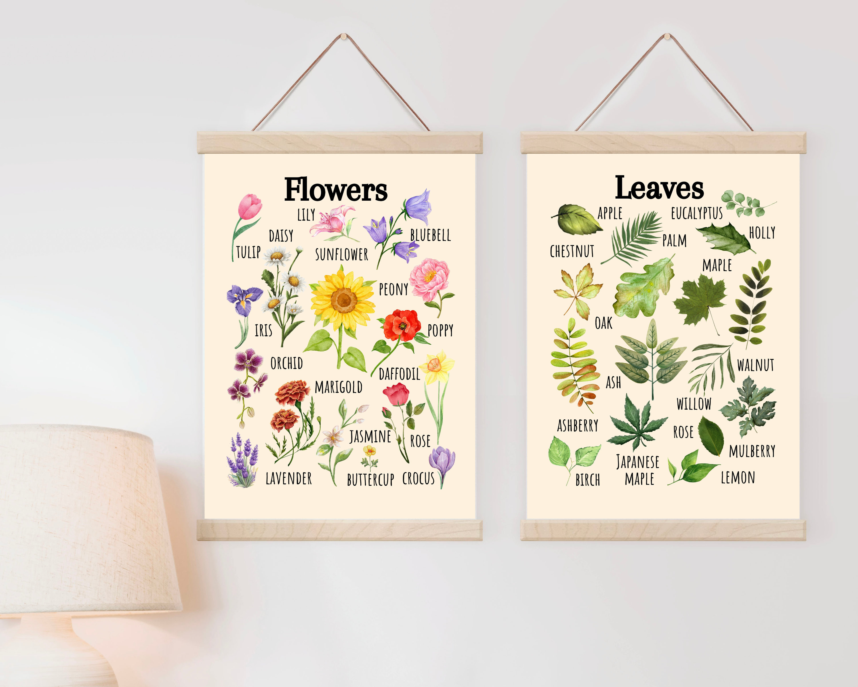 Nature Educational Posters, Printable Wall Art, Classroom Learning ...
