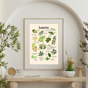 Nature Educational Posters, Printable Wall Art, Classroom Learning ...