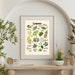 Nature Educational Posters, Printable Wall Art, Classroom Learning ...