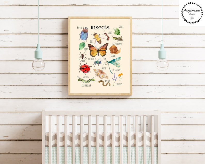 Insects Kids Poster Insects Printable Wall Art Nature - Etsy