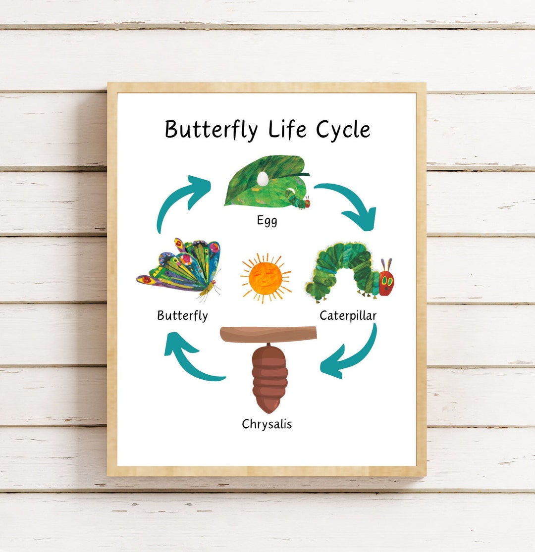 The Very Hungry Caterpillar Life Cycle Poster, Butterfly Lifecycle ...