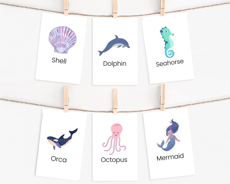 20 Ocean Animals Flashcards Sea Animals Flashcards INSTANT - Etsy