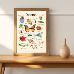 Insects Educational Poster, Flowers Poster, Printable Wall Art, Nature ...