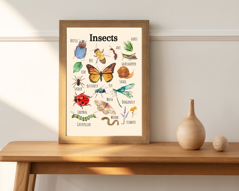 Insects Educational Poster, Flowers Poster, Printable Wall Art, Nature ...