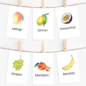 24 Fruit Flashcards, Montessori Flashcards, Food Cards, INSTANT ...
