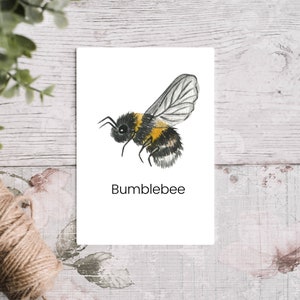 Bees Flashcards, Bee Educational Poster, Montessori, Homeschool ...