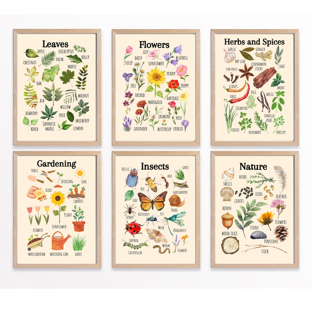 Nature Educational Posters, Printable Wall Art, Classroom Learning ...