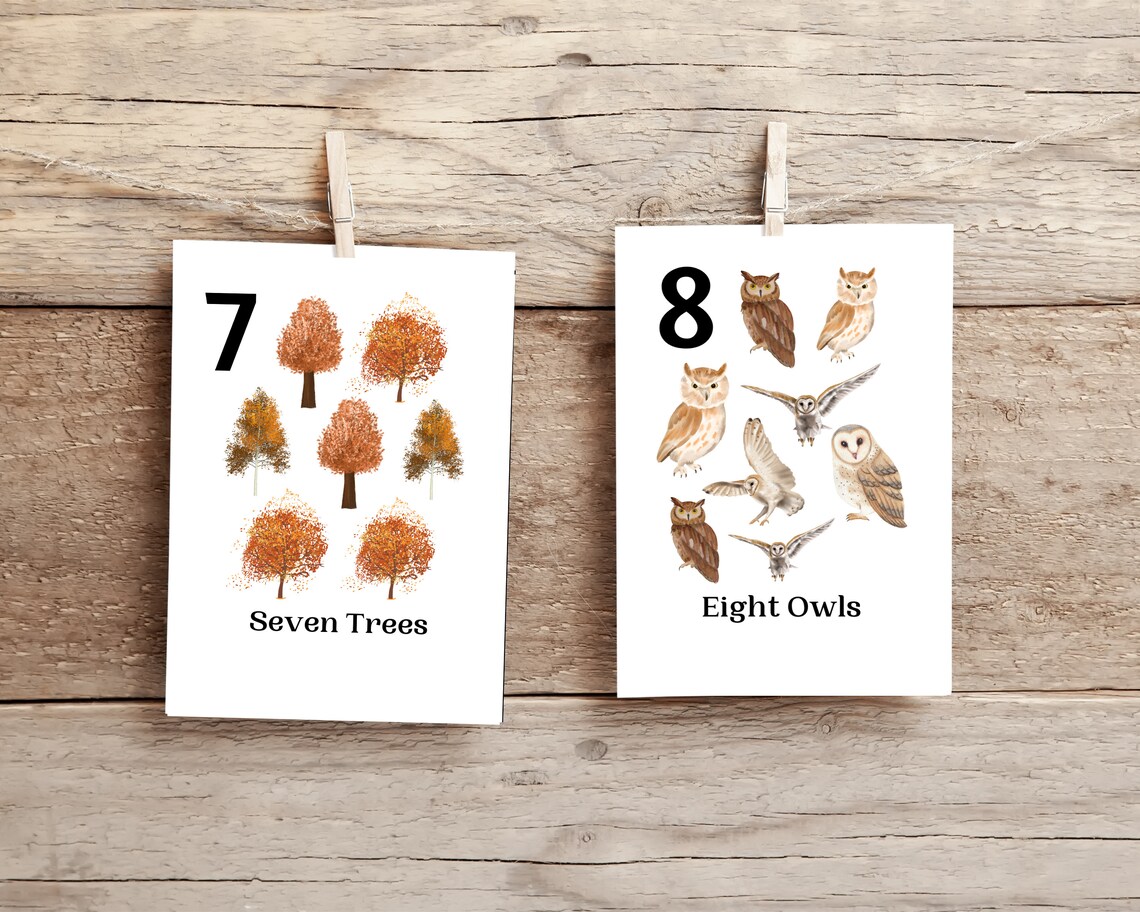 Autumn Number Flashcards 1-10 Printable, Fall Homeschool (PDF) - Etsy