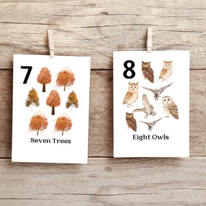 Autumn Number Flashcards 1-10 Printable, Nature Number Cards, Fall ...