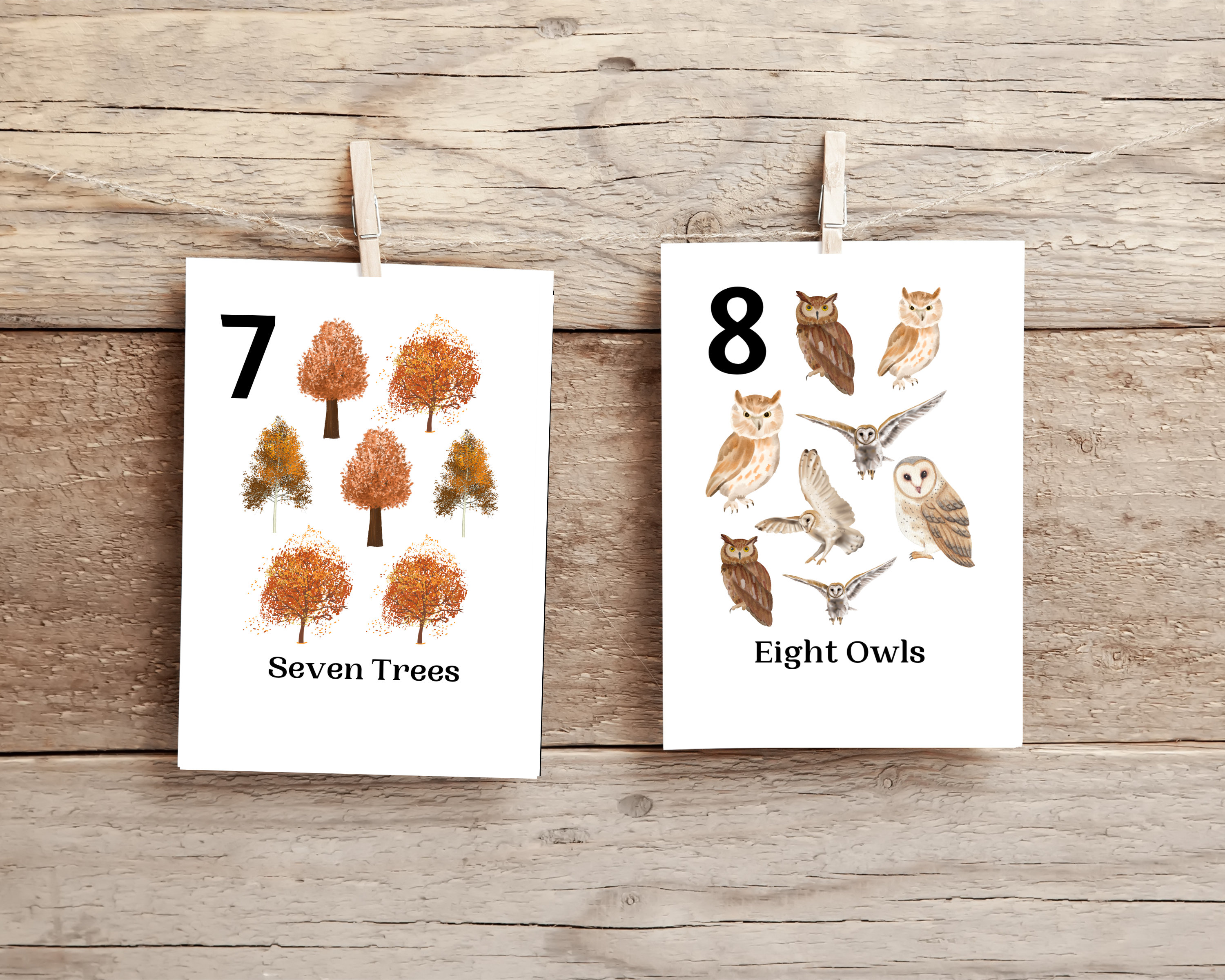 Autumn Number Flashcards 1-10 Printable Nature Number Cards - Etsy