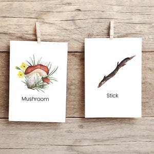 The Gruffalo Story Cards, 36 Gruffalo Flashcards, Homeschool Montessori ...