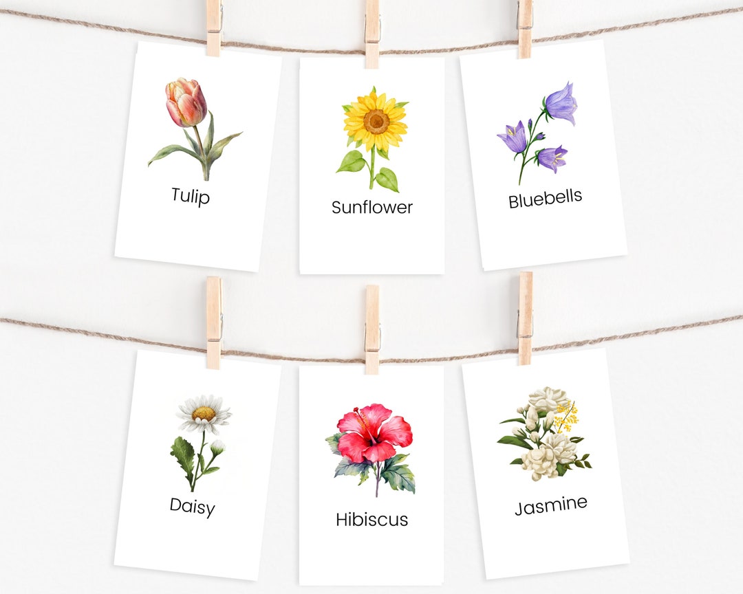 26 Flowers Flashcards, Montessori Flashcards, Montessori Pintables ...