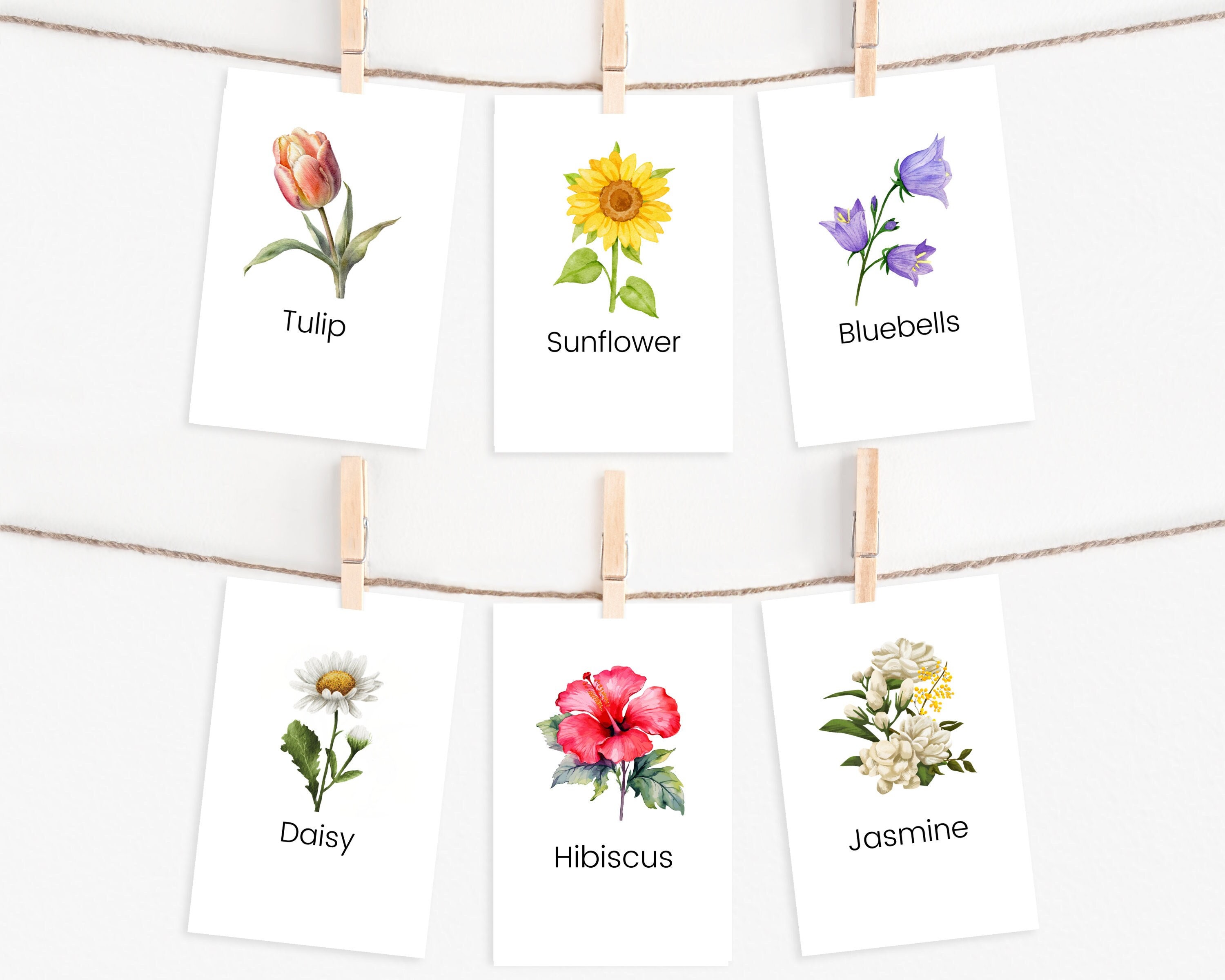26 Flowers Flashcards, Montessori Flashcards, Montessori Pintables ...