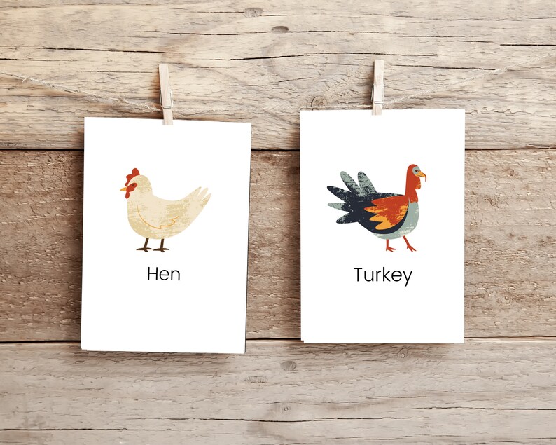 26 Farm Animals Flashcards, Farm Life, INSTANT DOWNLOAD, Nature Cards ...