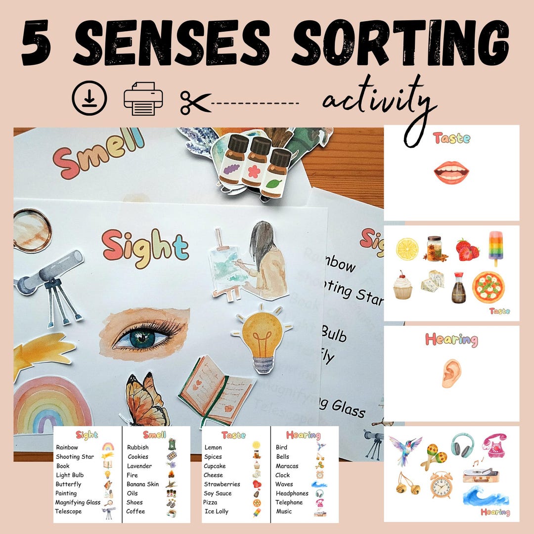 Five Senses Sorting Activity, Preschool, Homeschool, Toddler Busy Book ...