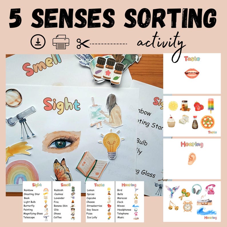 Five Senses Sorting Activity, Preschool, Homeschool, Toddler Busy Book ...